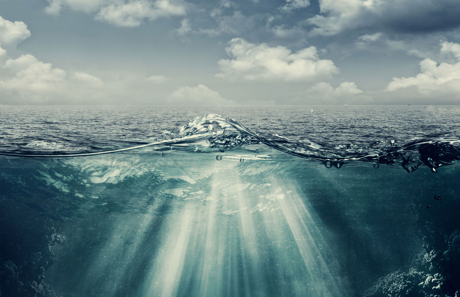 Deepen Your Understanding - The Art of Liberation
